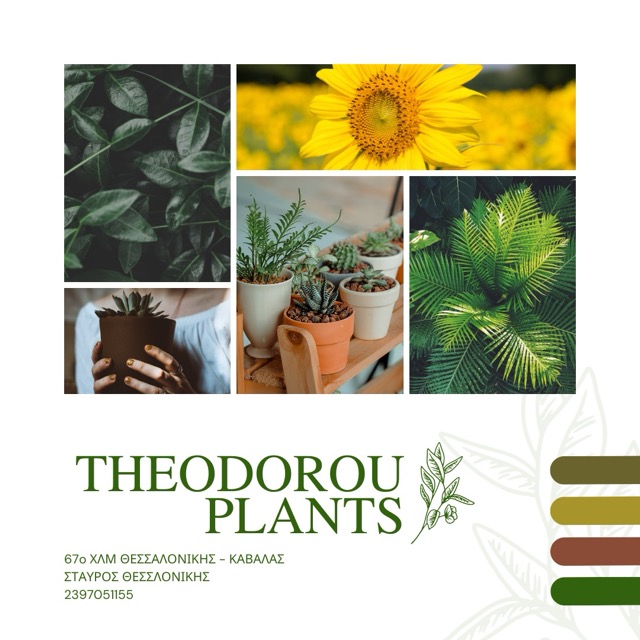 ΦΥΤΩΡΙΟ ΑΡΩΜΑΤΙΚΑ ΦΥΤΑ THEODOROU PLANTS ΣΤΑΥΡΟΣ ΘΕΣΣΑΛΟΝΙΚΗ ΘΕΟΔΩΡΟΥ ...