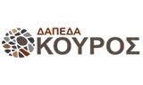 ΔΑΠΕΔΑ ΚΟΥΡΟΣ ΜΩΣΑΪΚΑ ΕΙΔΙΚΩΝ ΑΠΑΙΤΗΣΕΩΝ ΙΛΙΟΝ ΑΤΤΙΚΗ